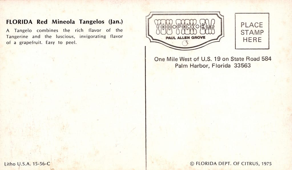 Prevent and Remove Foxing on Postcards - Surprise Postcards