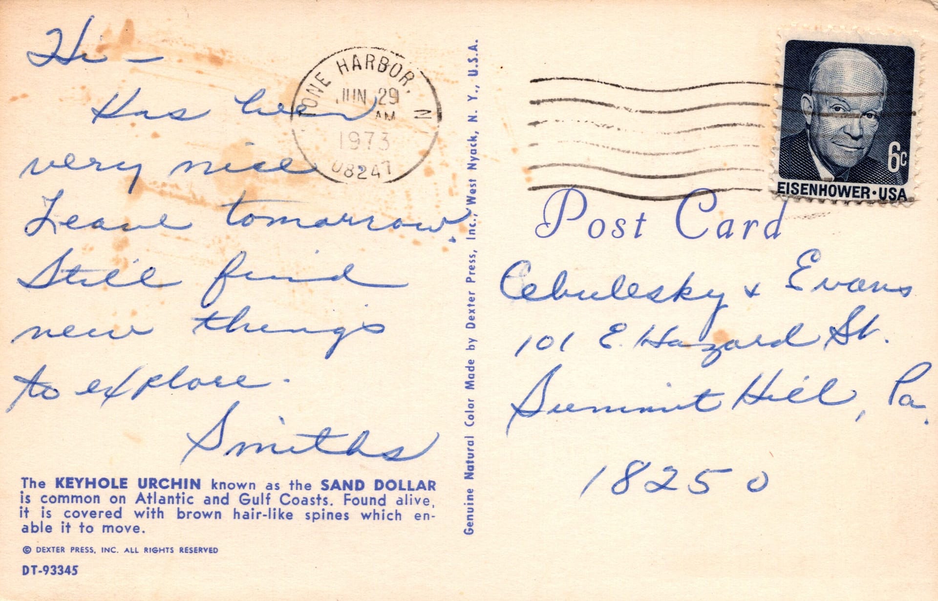 Prevent and Remove Foxing on Postcards - Surprise Postcards